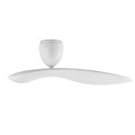 Sycamore – iconic fan