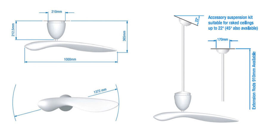 Sycamore – iconic fan